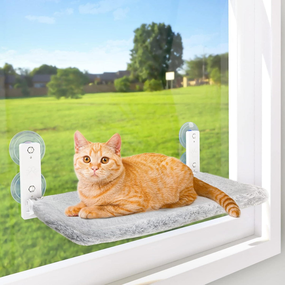 Cat Hammock Window – Vernier Store
