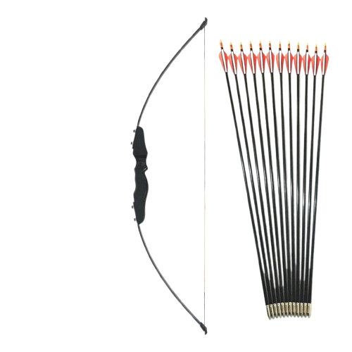 Beginner Bow and Arrows Archery Set – Vernier Store