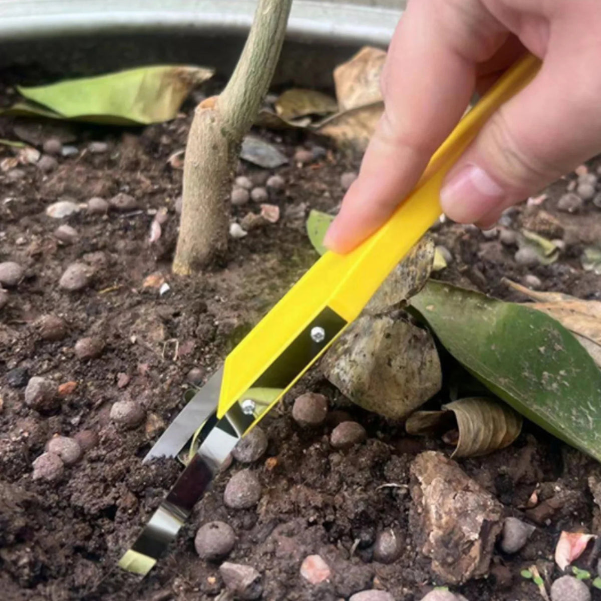 Portable Weeder Tool with Iron Loop Handle – Verniershop