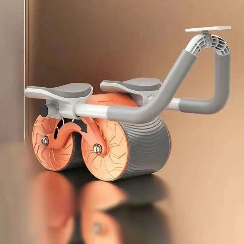 Plank Ab Roller Wheel for Core Trainer – Verniershop