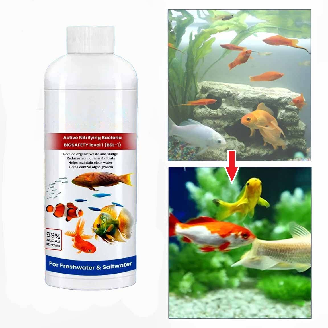 3 Pack Fish Tank Cleaner Liquid – Verniershop