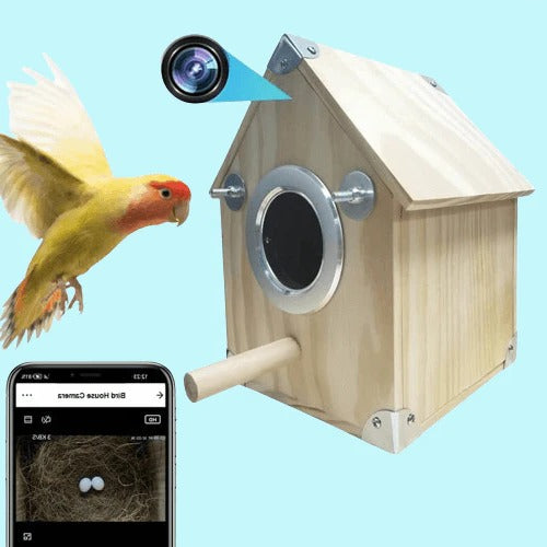 Bird Watching Nesting Feeder Nest Cam Box with Camera – Verniershop