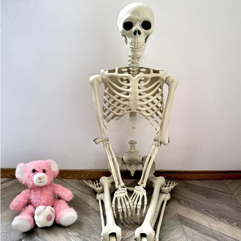Life-Size Skeleton Decoration – Verniershop