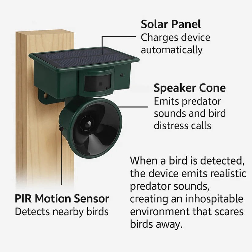 Motion Sensor Bird Deterrent for Crows: Ideal Pigeon Repeller with Sou ...