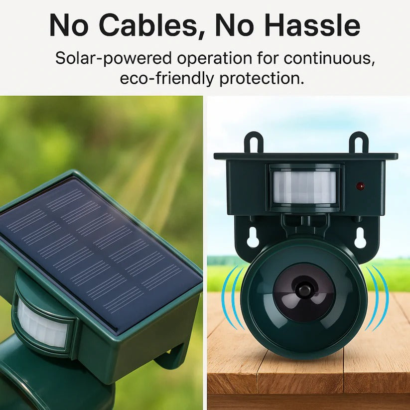 Motion Sensor Bird Deterrent for Crows: Ideal Pigeon Repeller with Sou ...