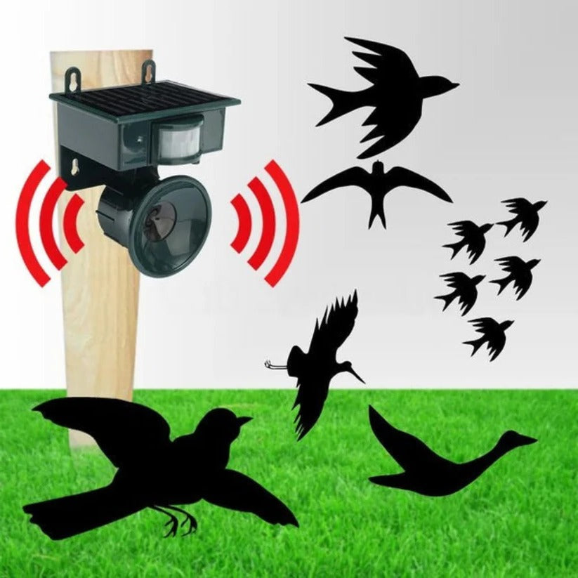 Motion Sensor Bird Deterrent for Crows: Ideal Pigeon Repeller with Sou ...