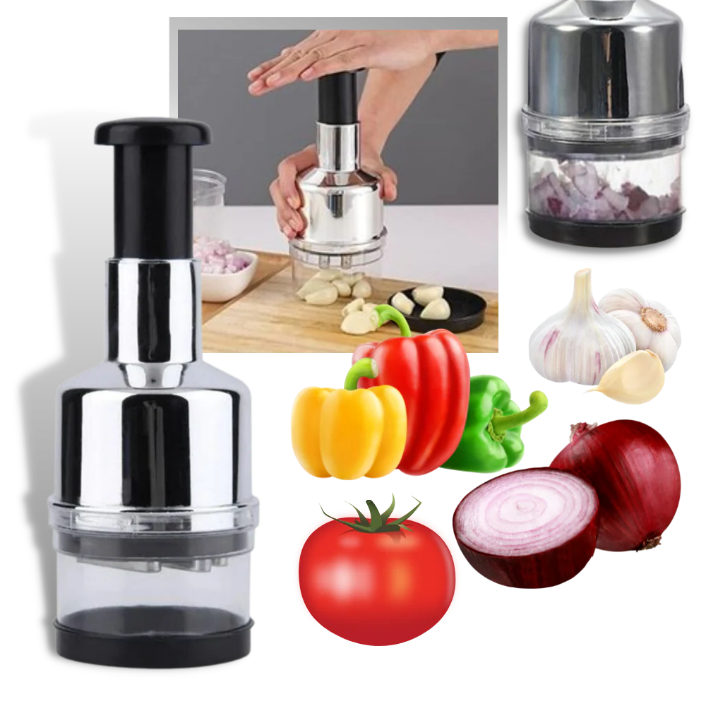 Stainless Steel Garlic Chopper – Verniershop