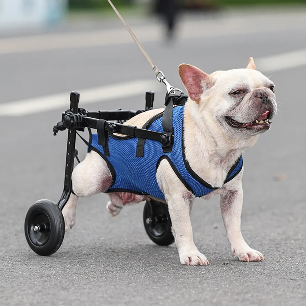 Dog Wheelchair Disability Dog Hind Legs Bracket Cat Dog Injured And We ...