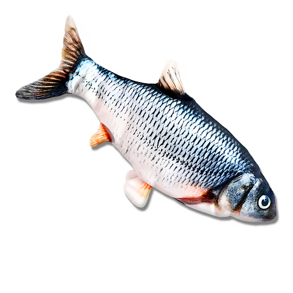 USB Floppy Fish Toy – Verniershop