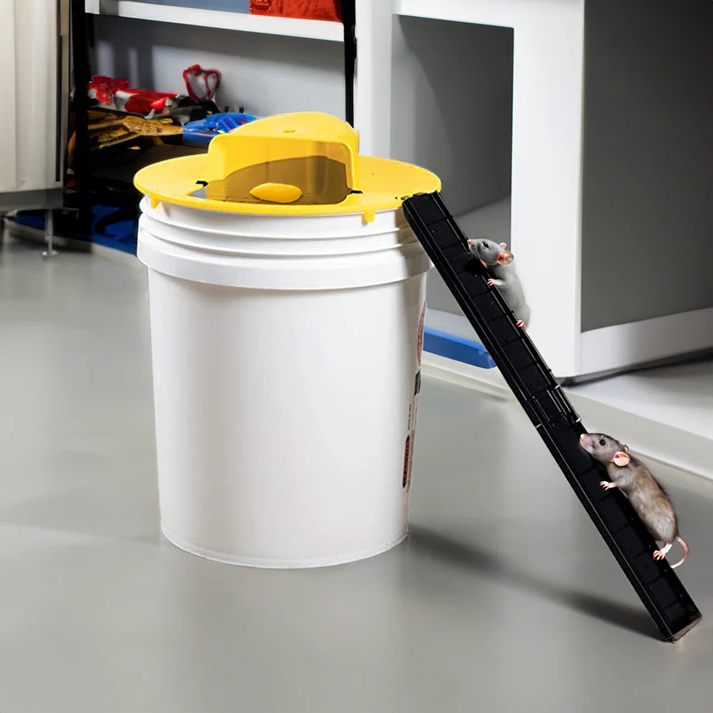Humane Bucket Cover Mouse Trap – Verniershop